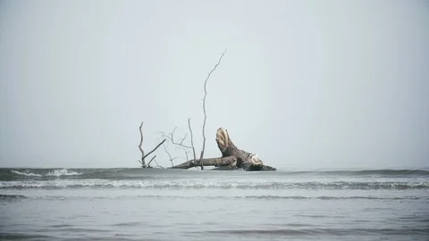 Bad Omens Background Stock Videos – Royalty-Free HD & 4K Videos | Pond5