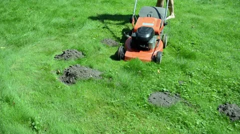 Shorts Cut Stock Videos – Royalty-Free HD & 4K Videos | Pond5