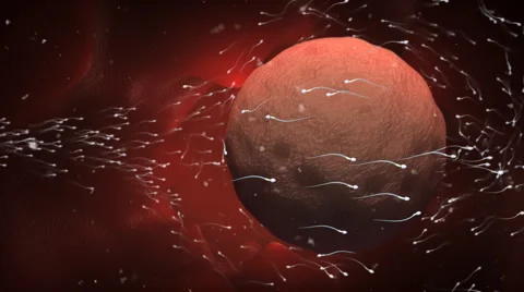 Sperm Semen Orgasm Stock Video Footage | Royalty Free Sperm Semen ...