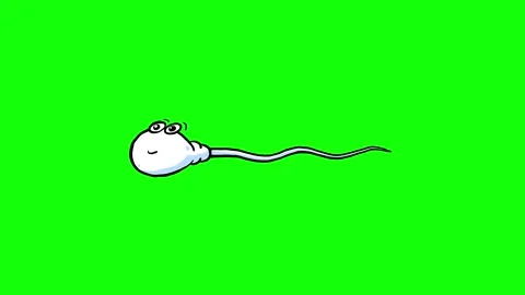 Sperm cell cartoon animated character is... | Stock Video | Pond5