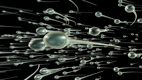 Sperm cells moving on black background | Stock Video | Pond5