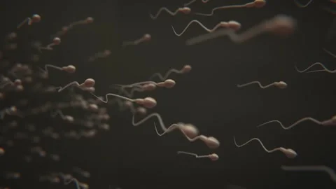 Ejaculation Video Stock Videos – Royalty-Free HD & 4K Videos | Pond5