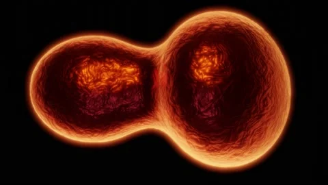 Spheres fusing together. Two spheres fu... | Stock Video | Pond5