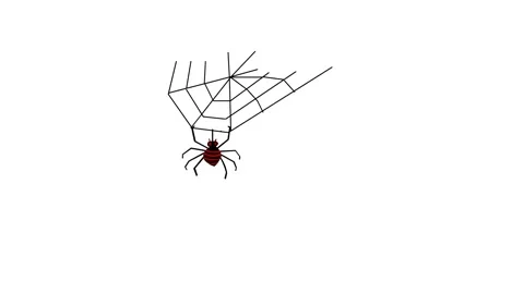 Spider and web background and 2d animati... | Stock Video | Pond5