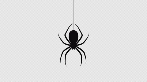 Spider descends on web. 2D animation vid... | Stock Video | Pond5
