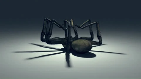 Spider dying end scary realistic tarantu... | Stock Video | Pond5