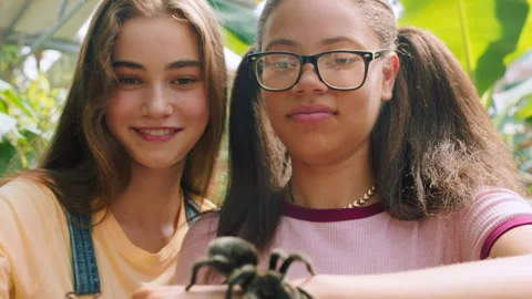 Zoho Social Stock Videos – Royalty-Free HD & 4K Videos