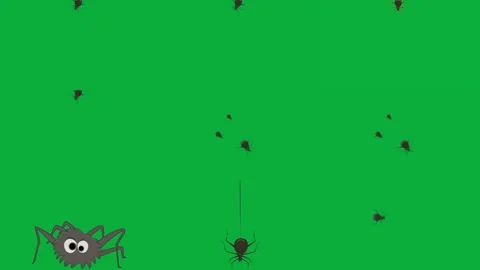 Spider Emotion Cartion Stock Videos – Royalty-Free HD & 4K Videos
