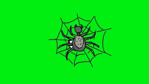Spider The Videogame Stock Videos – Royalty-Free HD & 4K Videos | Pond5