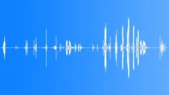 Spider Monkey Sound Effects ~ Spider Monkey Sounds | Pond5