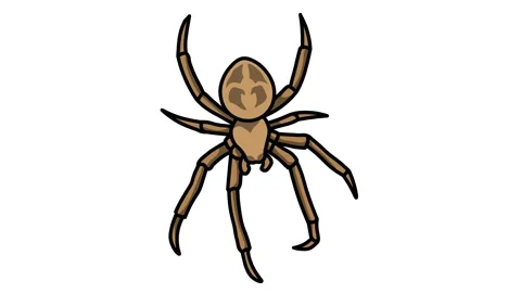Spider Sketch and 2d animation, insect, ... | Stock Video | Pond5