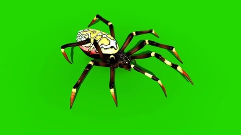 Spider Walkcycle Green Screen Loop 3D Re... | Stock Video | Pond5