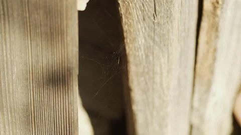 Spider web between beams in a barn 4K cl... | Stock Video | Pond5