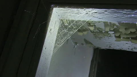 Spider web on ceiling | Stock Video | Pond5