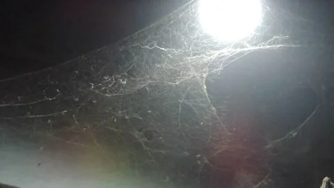 Spider Switch Stock Footage ~ Royalty Free Stock Videos | Pond5