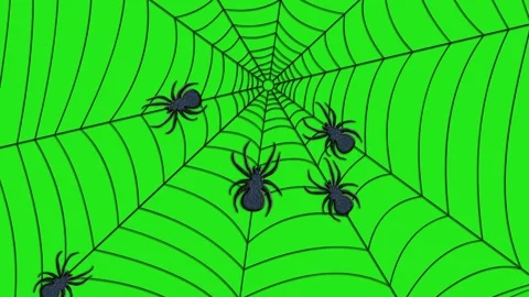 Spiders climbing the net on a green back... | Stock Video | Pond5