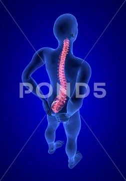 Spine Pain. Blue Human Anatomy Body 3D render on blue background ...