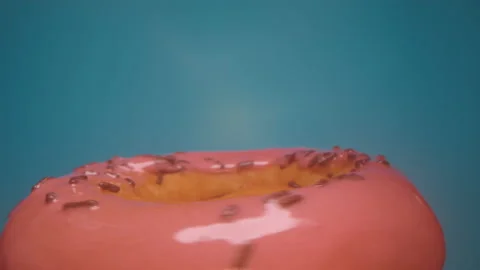 Spinning donut on blue background | Stock Video | Pond5