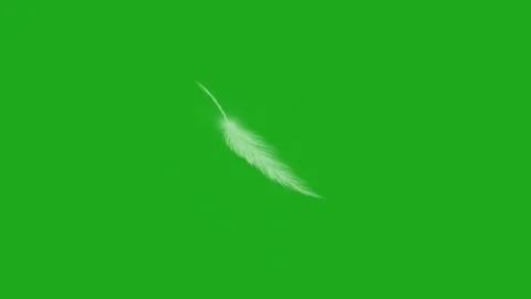 Spinning feather motion graphics with gr... | Stock Video | Pond5