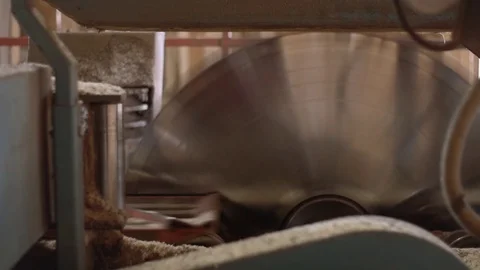 Spinning industrial blade cutting log on... | Stock Video | Pond5