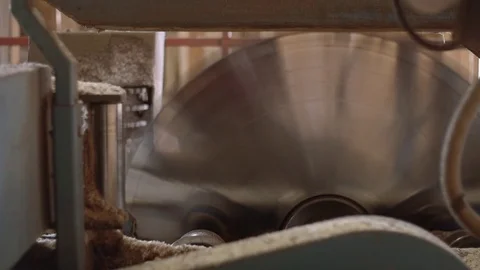 Spinning industrial blade cutting timber... | Stock Video | Pond5