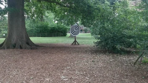 A Spinning Spiral Optical Illusion on a ... | Stock Video | Pond5