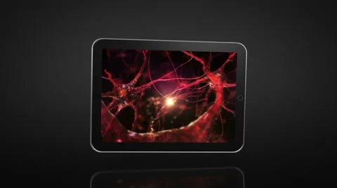 Videos&Display Stock Videos – Royalty-Free HD & 4K Videos