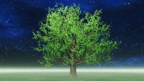 A spinning tree below the starry sky whe... | Stock Video | Pond5