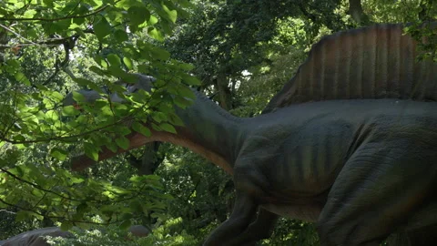 Spinosaurus Dinosaur Stock Footage ~ Royalty Free Stock Videos | Pond5