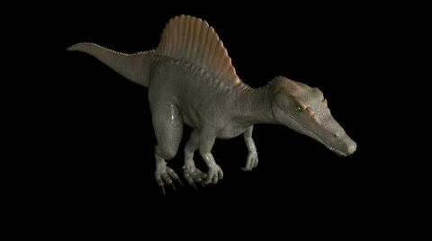 Spinosaurus Dinosaur Animation Stock Video Footage | Royalty Free ...