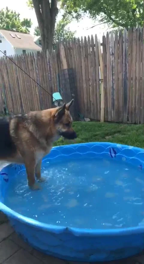 Throw Back Feels Stock Videos – Royalty-Free HD & 4K Videos | Pond5