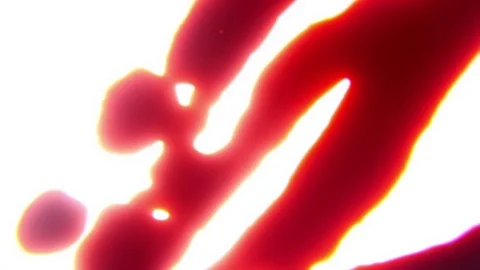 Blood Splatter Horror Stock Video Footage | Royalty Free Blood Splatter ...