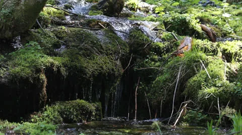 Splendid scenery fresh river water fall ... | Stock Video | Pond5