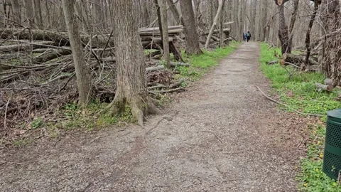 Split decision at fork in the path of a ... | Stock Video | Pond5