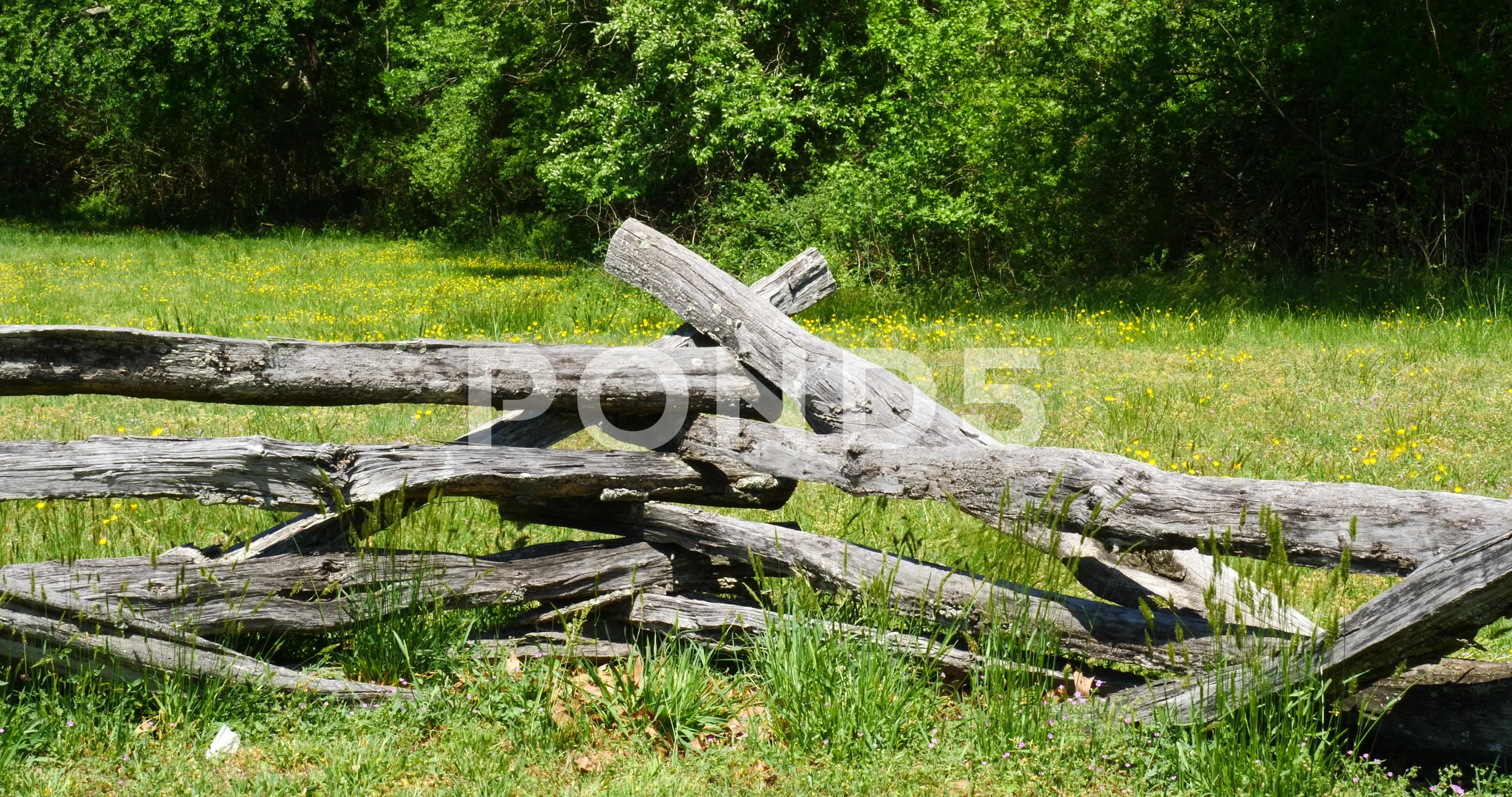 Old Split Rail Fences