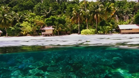 Split view above and below water surface... | Stock Video | Pond5