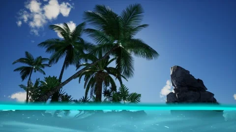 Split view cross section of sea water an... | Stock Video | Pond5