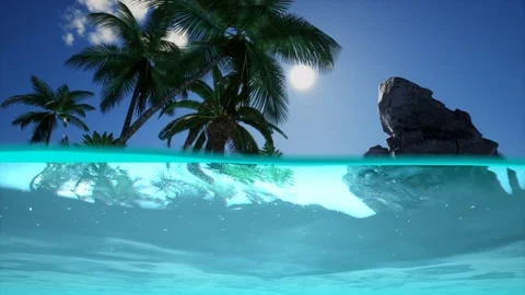 Split view cross section of sea water an... | Stock Video | Pond5