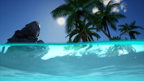 Split view cross section of sea water an... | Stock Video | Pond5