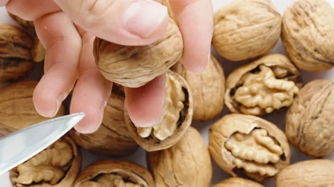 Splitting a walnut in half with a knife,... | Stock Video | Pond5