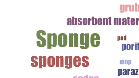 Sponge Word Cloud Animated On White Back... | Stock Video | Pond5