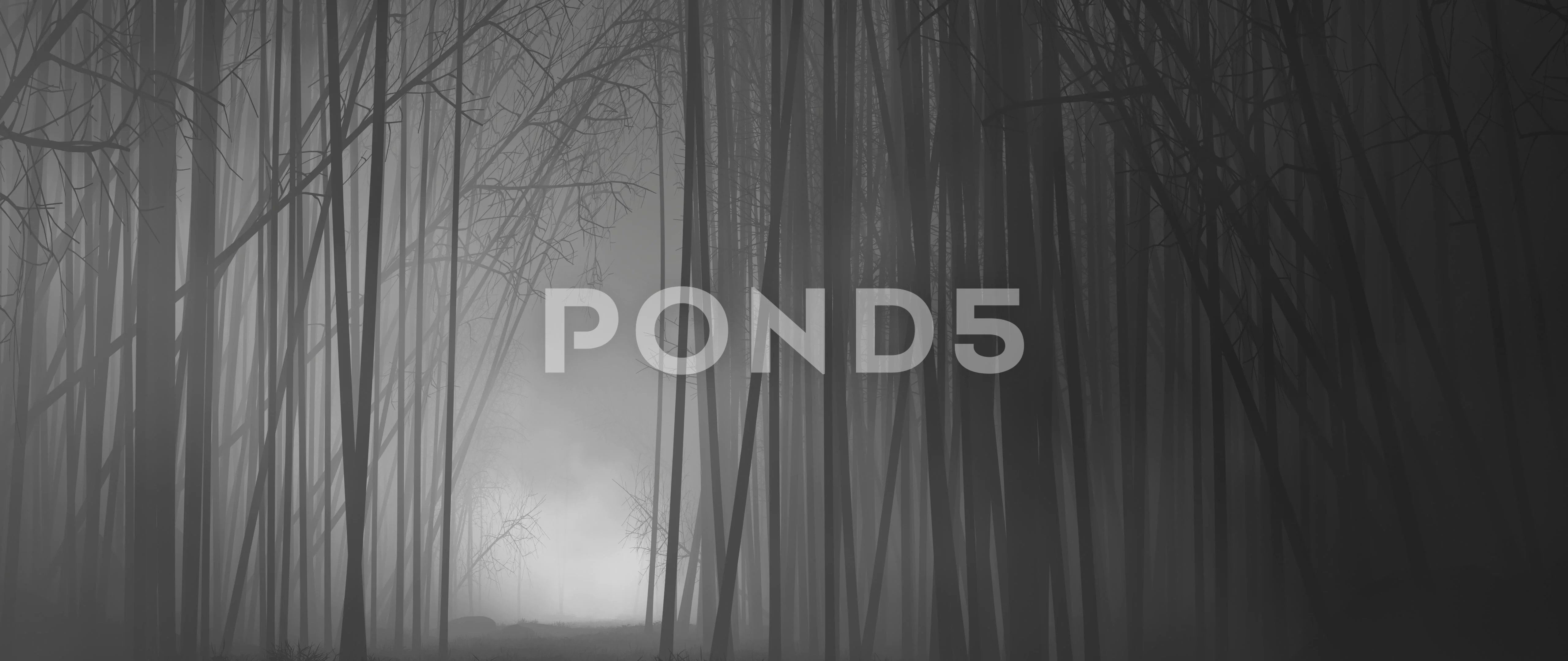 Dead Forest Black And White