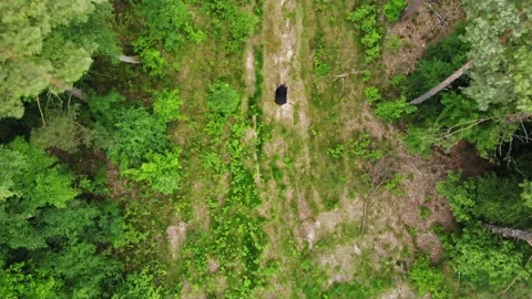 Spooky Jungle With Grim Reaper Walking ... | Stock Video | Pond5