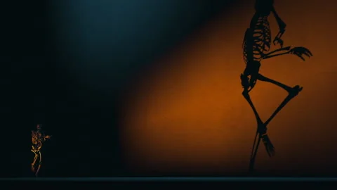 Shadow Animationsz Stock Videos – Royalty-Free HD & 4K Videos | Pond5