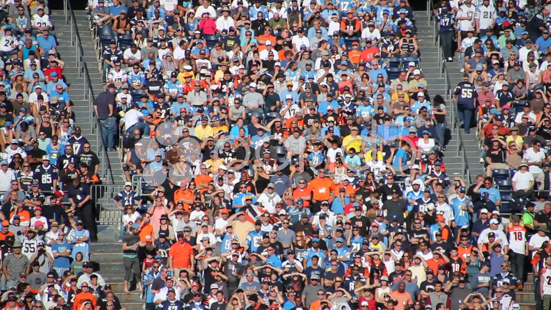 Stadium Crowd Texture