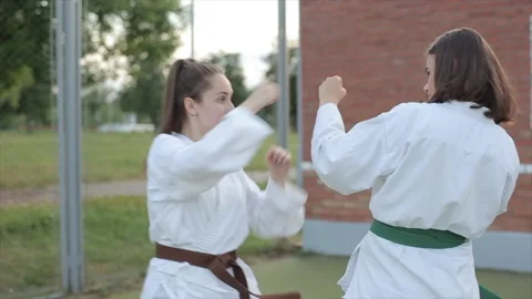 Karate Fight Stock Videos – Royalty-Free HD & 4K Videos | Page 6