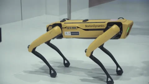 SPOT, the robot dog by Boston Dynamics e... | Stock Video | Pond5