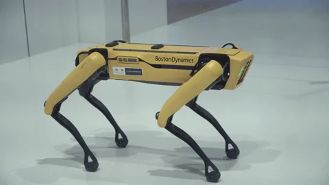 SPOT, the robot dog by Boston Dynamics e... | Stock Video | Pond5
