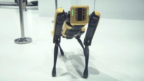 SPOT, the robot dog by Boston Dynamics e... | Stock Video | Pond5