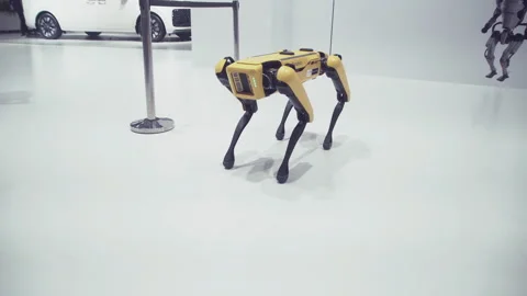 SPOT, the robot dog by Boston Dynamics e... | Stock Video | Pond5